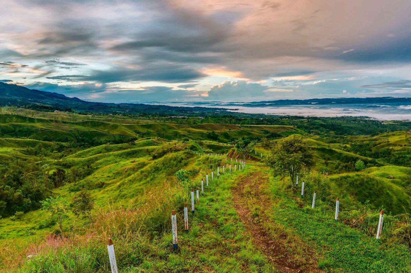 RISE WELLNESS RETREAT